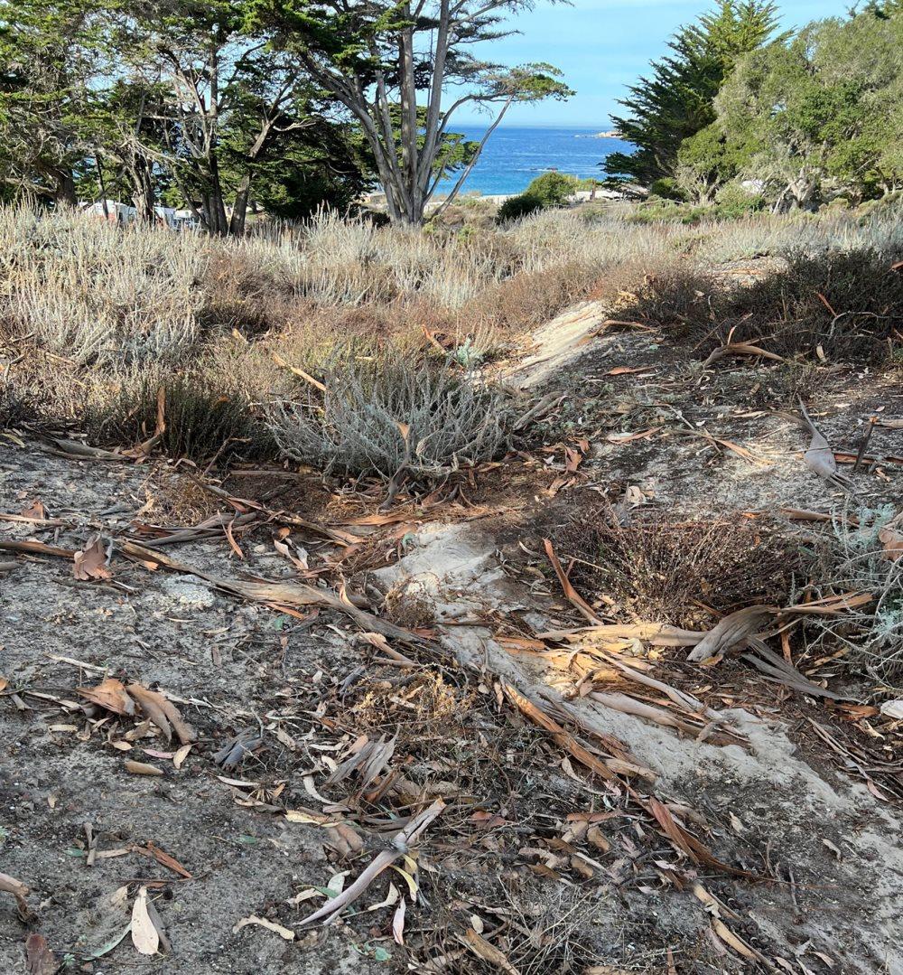 CBTSGC December 2023 Newsletter