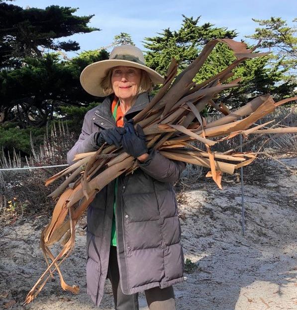 CBTSGC December 2023 Newsletter