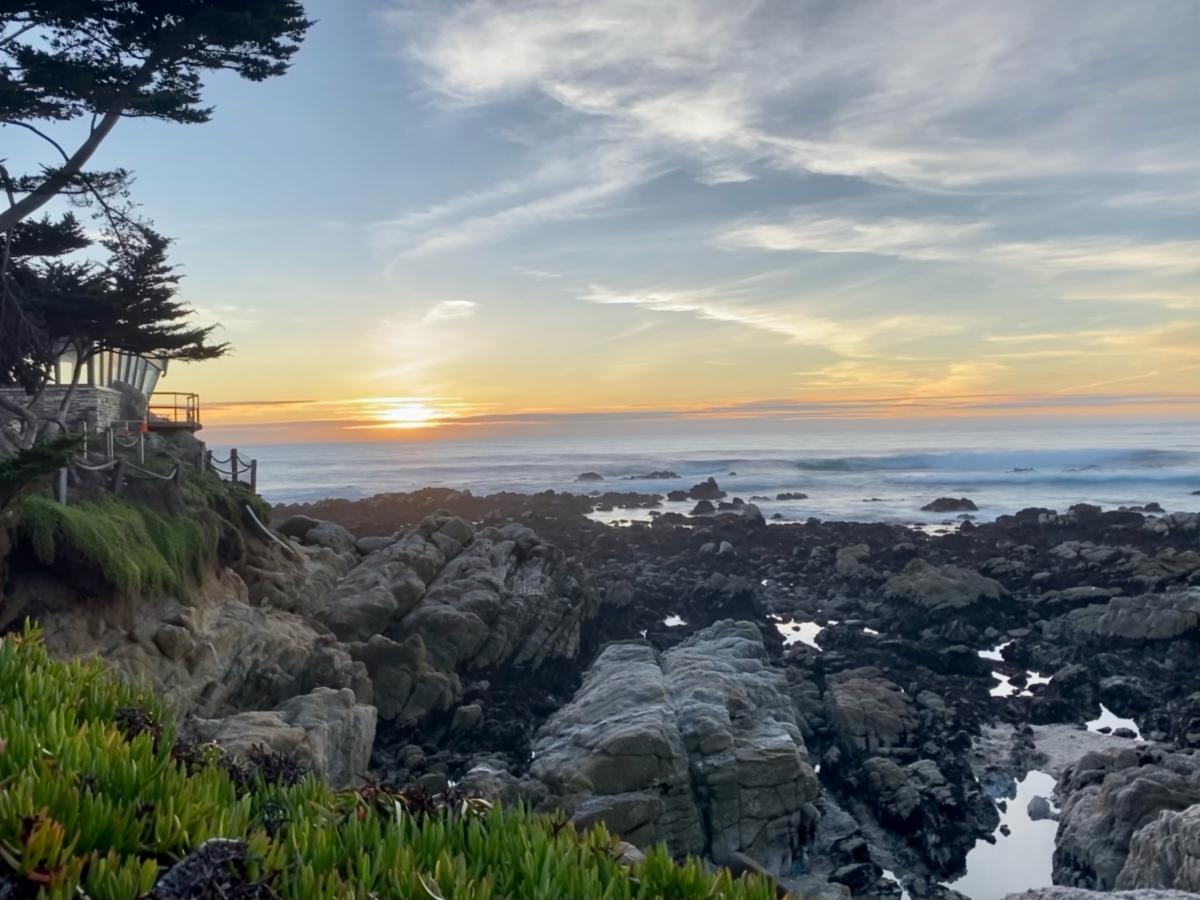 CBTSGC February 2024 Newsletter