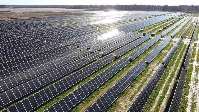 OES January 2022 Newsletter- Looking Back and Ahead