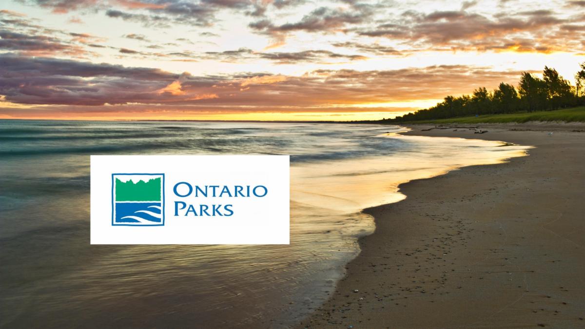 We're Open! Borrow a Parks Pass!