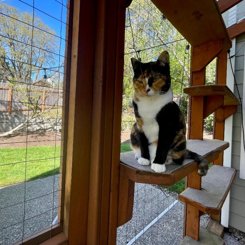 Read the April edition of Animal Tales