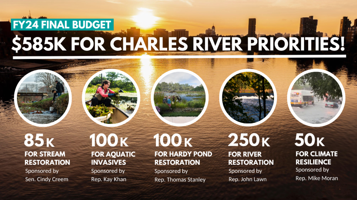 The August River Current
