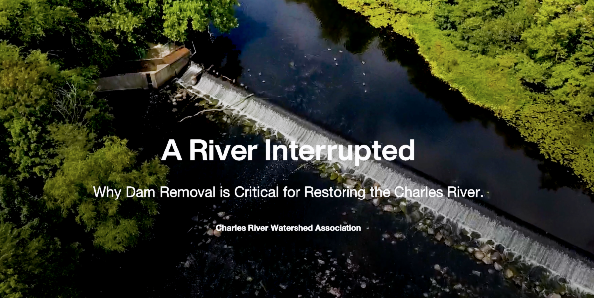 The February River Current