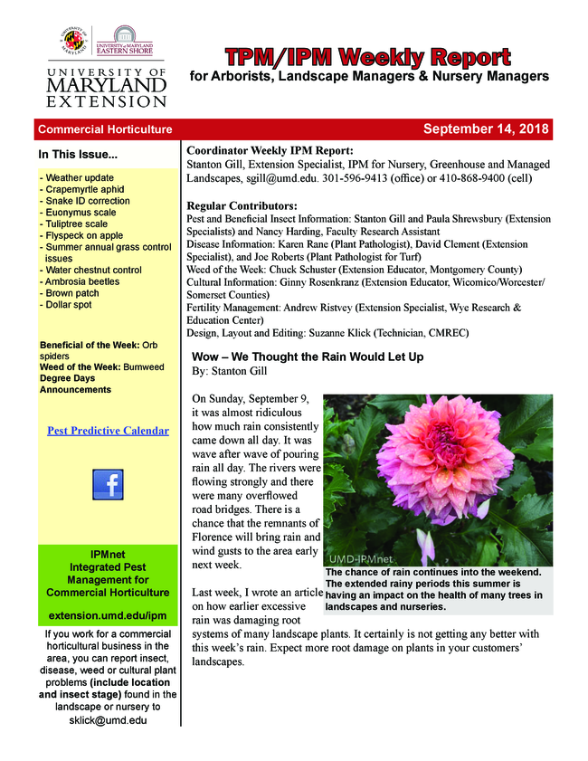 IPM Report: