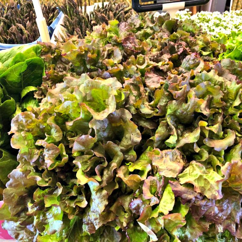 Flex Share CSA is starting 2025