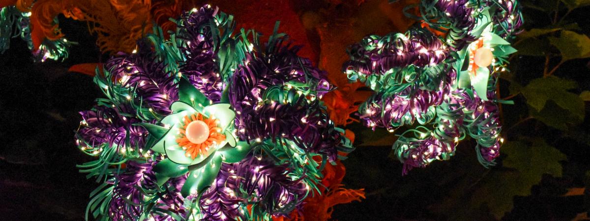 Glowing Wild, Upcoming plant shows, and more