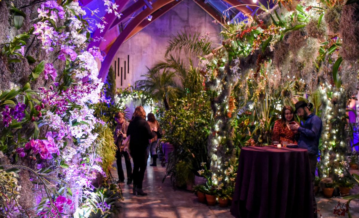 Save the date for Pixels + Petals, Annual Urban Tree Symposium, and more