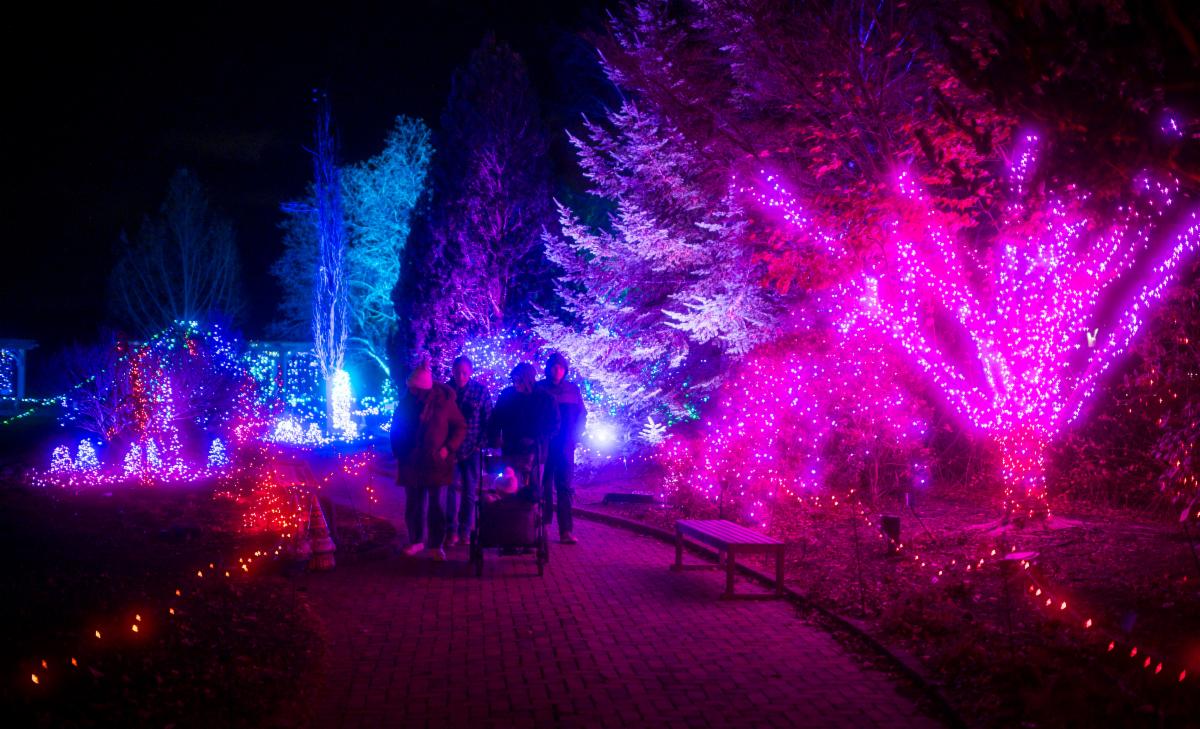 Update: Night Lights: Your visit on 12/08/25