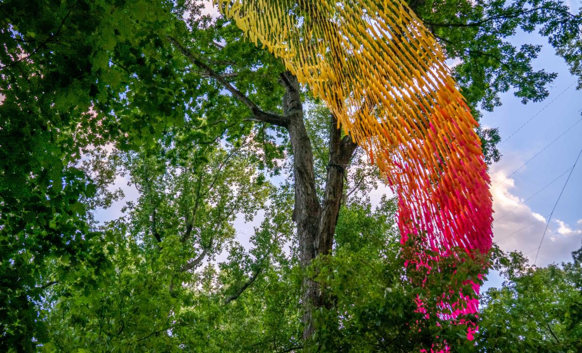 Free Admission on Juneteenth, Get Ready for Flora in Flight, and More