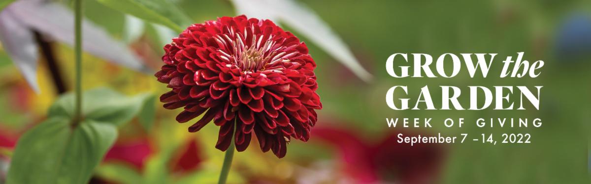 Grow the Garden, Enchanted Forest, and More