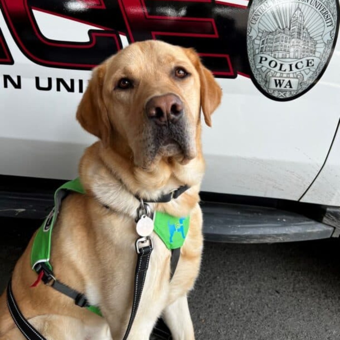 OCT. NEWSLETTER - Courthouse Dogs Foundation