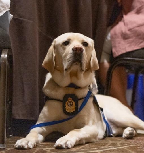 OCT. NEWSLETTER - Courthouse Dogs Foundation