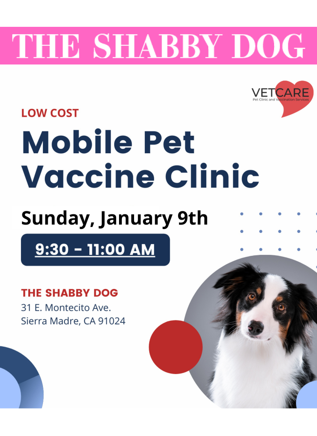 Pet Vaccine Clinic this Sunday and Updated Class Schedule