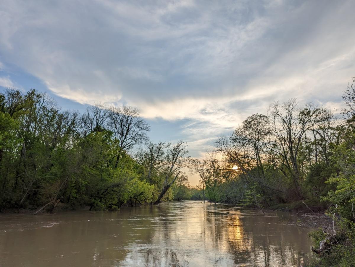 Impact Report 2023 for Texas Conservation Alliance