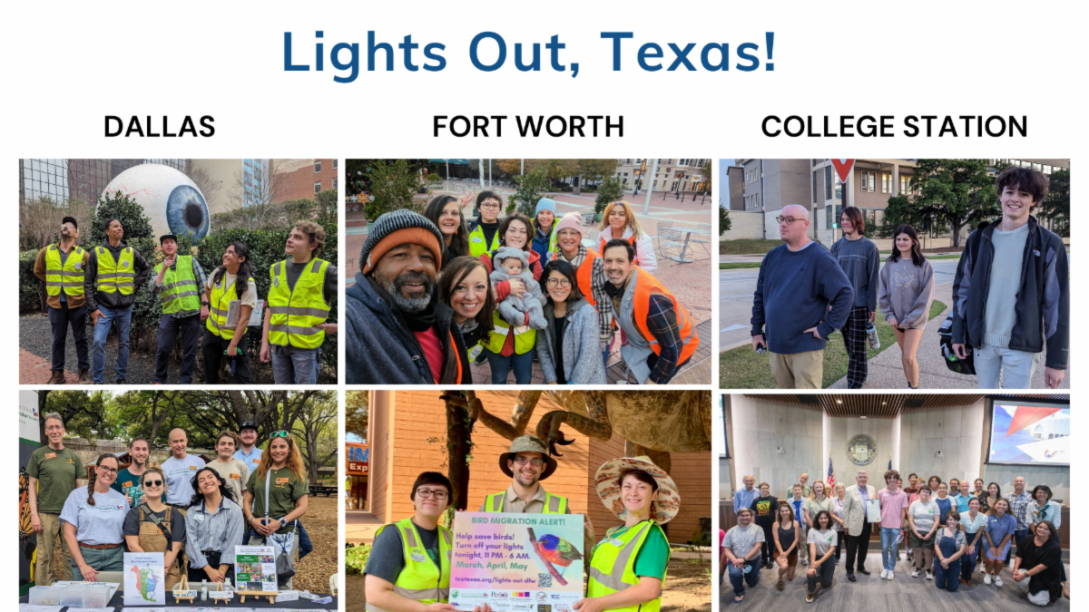 Impact Report 2023 for Texas Conservation Alliance