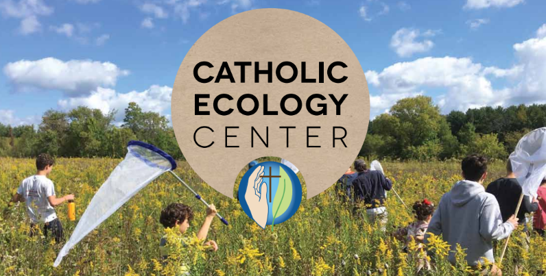 Human Concerns Newsletter June 2024