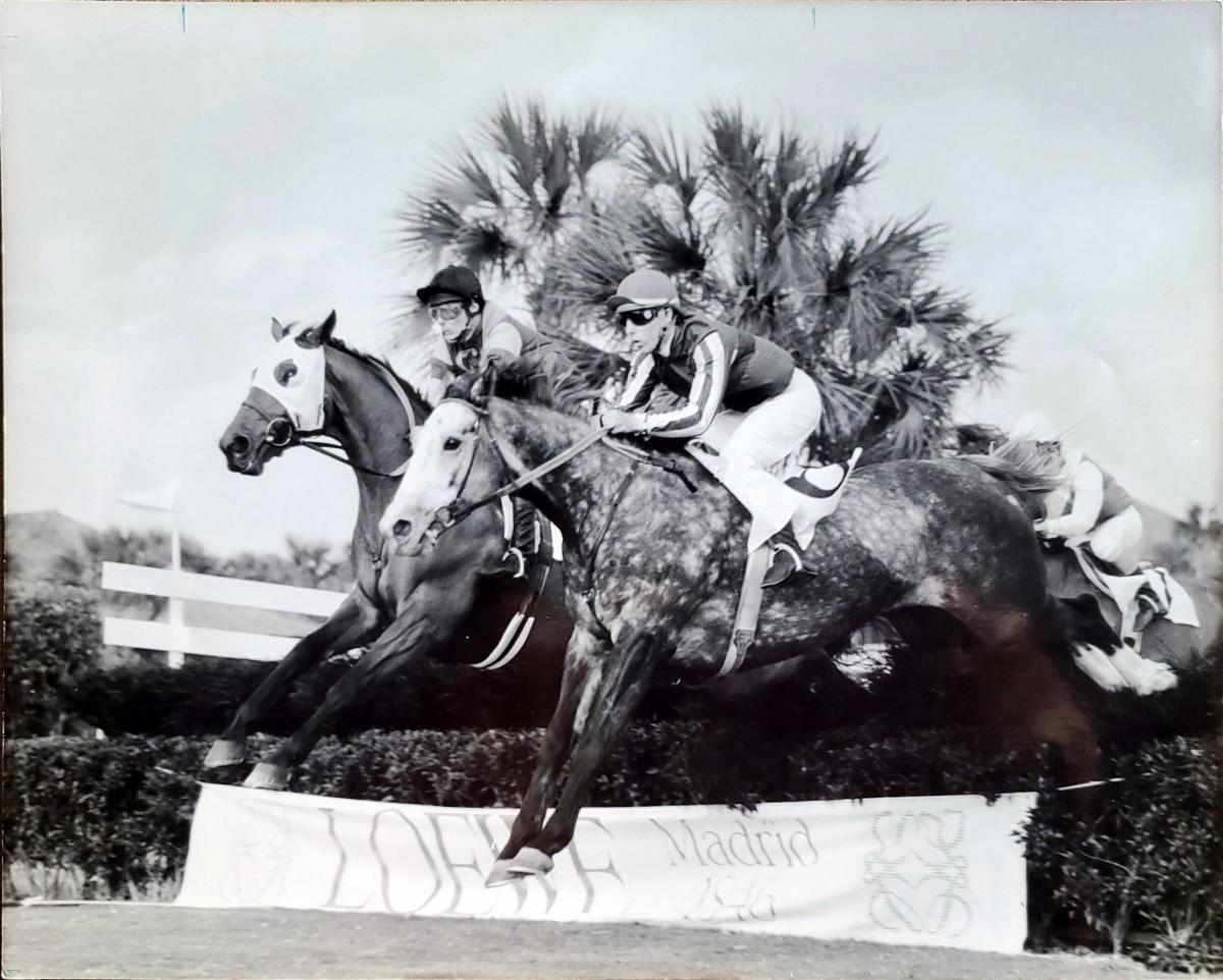 In a time of contraction, Florida Steeplechase offers a hint of expansion