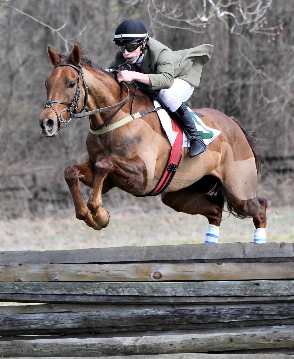 Warrenton Hunt Point to Point and Foxhall Farm Cup Team Chase recaps