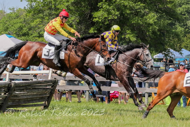 Point to Point recaps - Potomac Hunt and Radnor Hunt