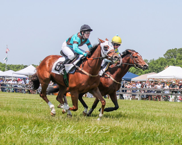 Point to Point recaps - Potomac Hunt and Radnor Hunt