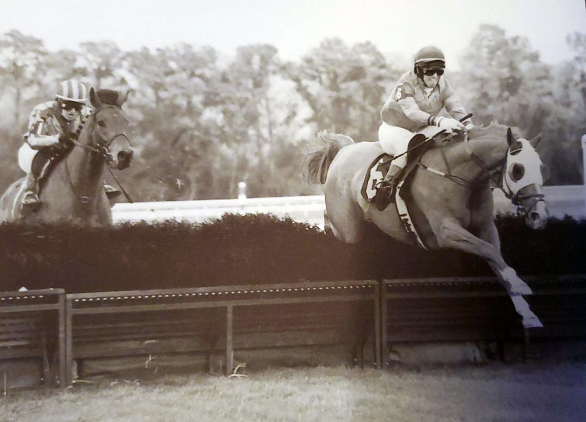 In a time of contraction, Florida Steeplechase offers a hint of expansion
