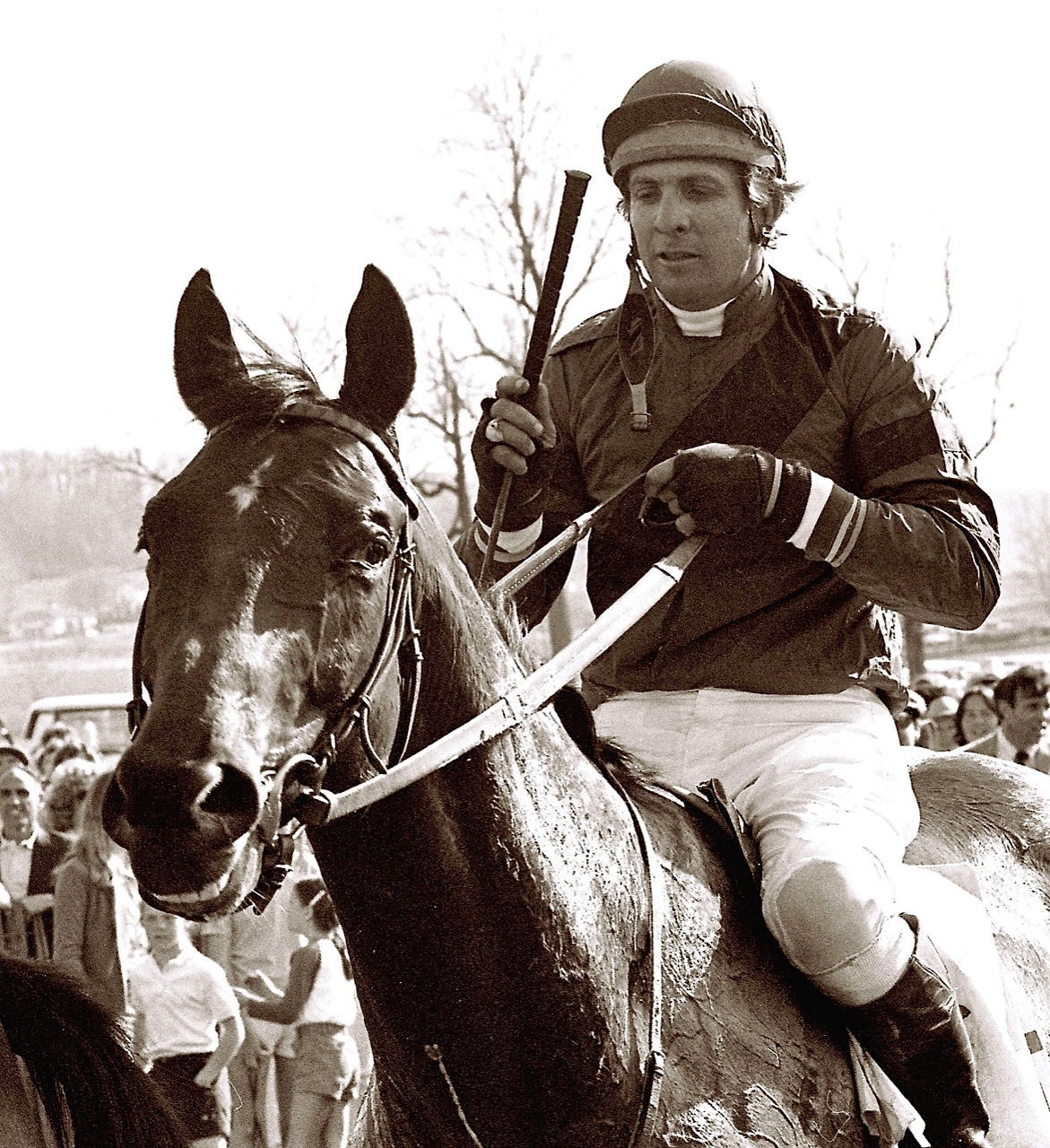 The McKnight stamp on Maryland's timber triple