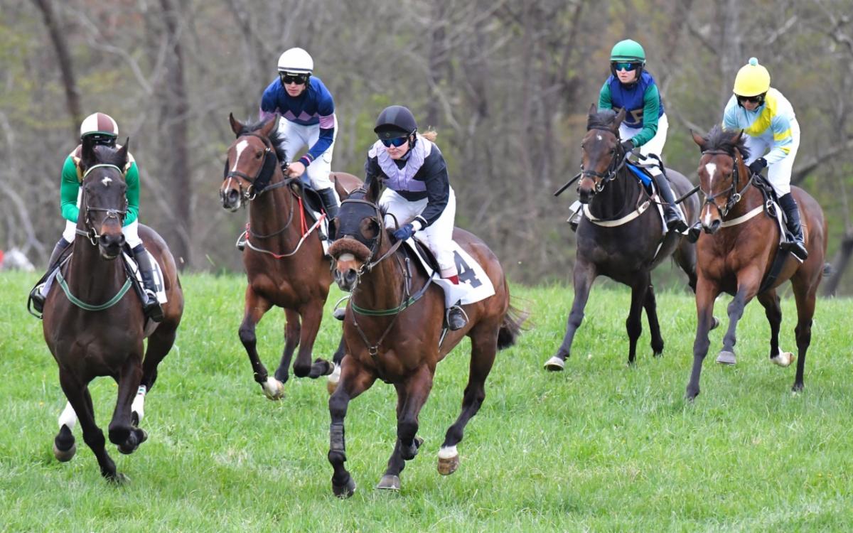 Dream trip: TGSF-sponsored training holiday sends American ‘chasing ...