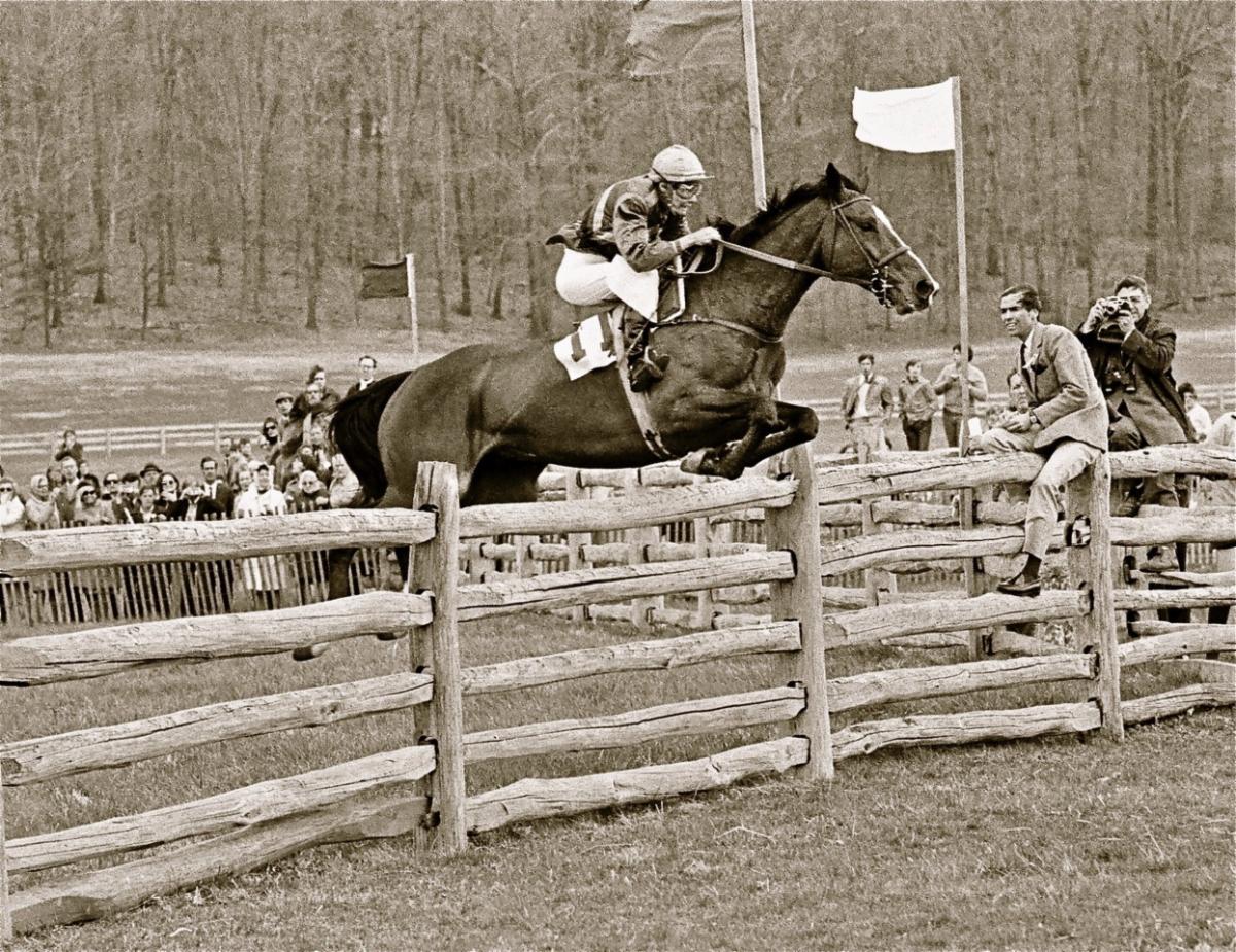 The McKnight stamp on Maryland's timber triple