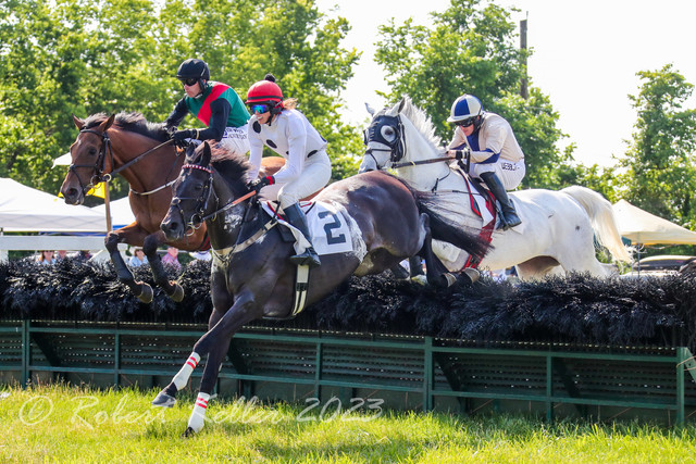 Point to Point recaps - Potomac Hunt and Radnor Hunt