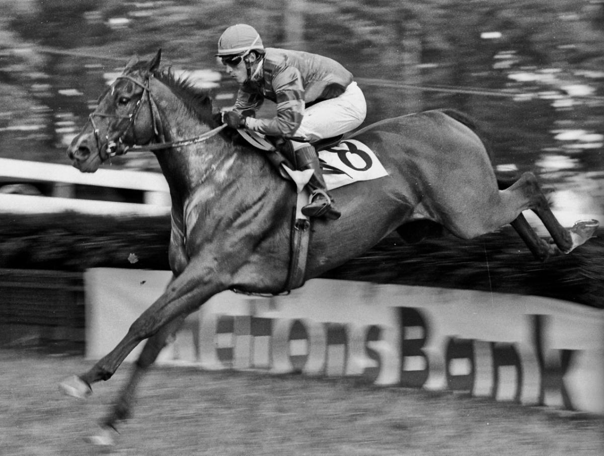 Legends of Steeplechase - Bill Lickle