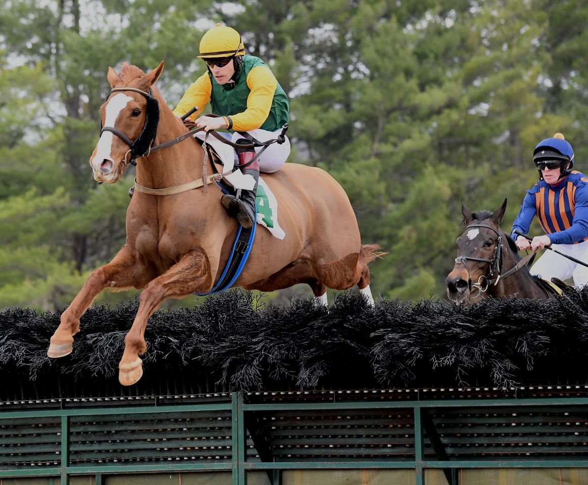 Warrenton Hunt Point to Point and Foxhall Farm Cup Team Chase recaps