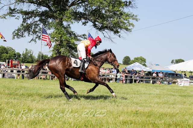 Point to Point recaps - Potomac Hunt and Radnor Hunt