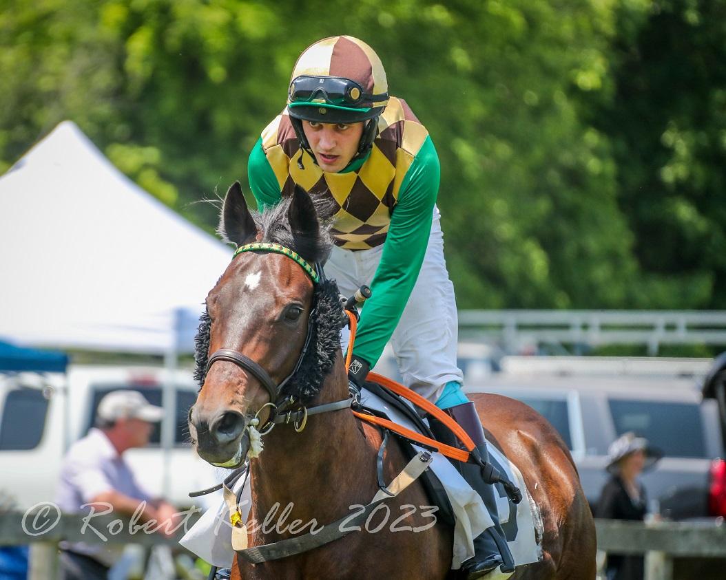 Point to Point recaps - Potomac Hunt and Radnor Hunt