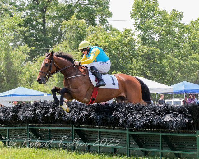 Point to Point recaps - Potomac Hunt and Radnor Hunt