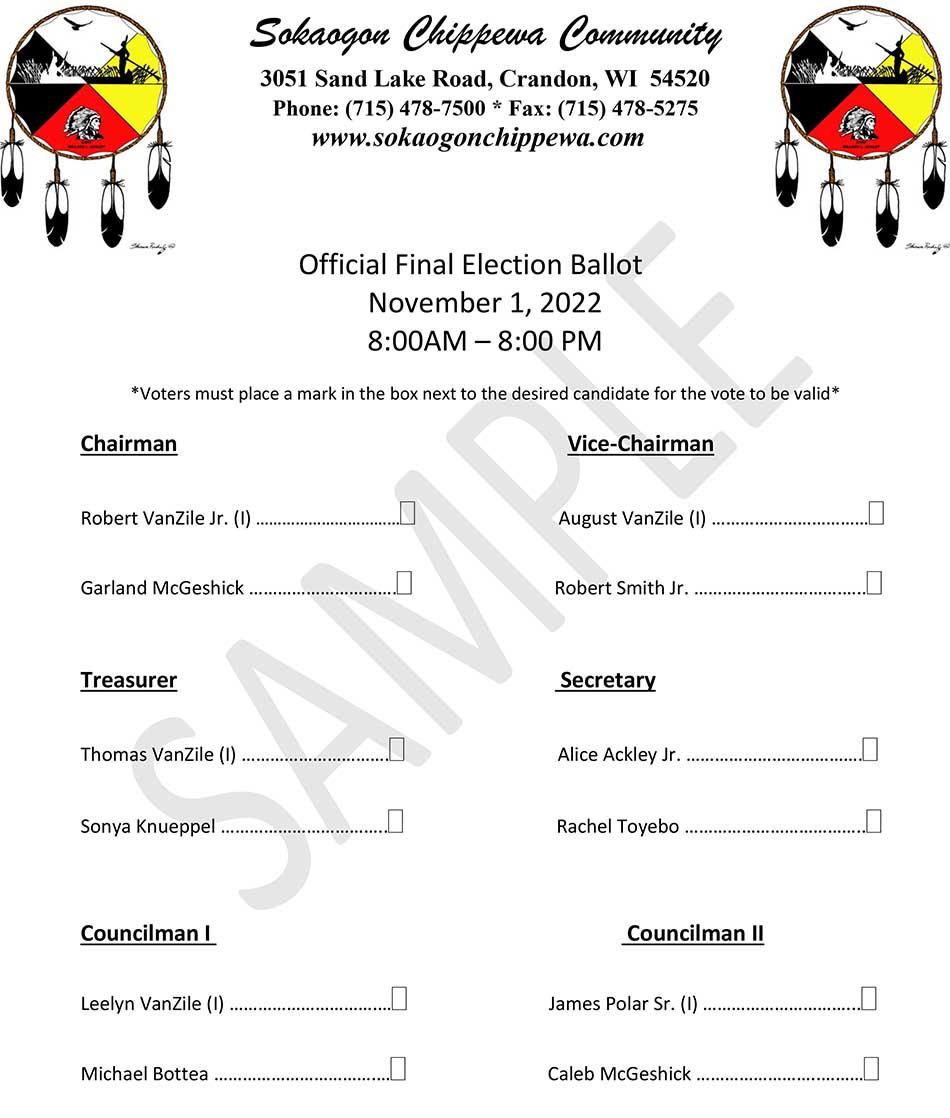 Every Native Vote Counts