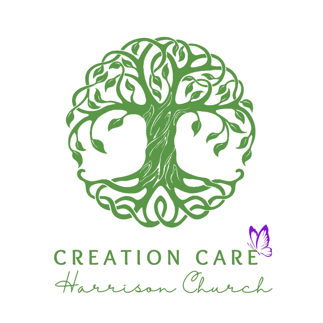 Loving, Growing and Serving Together