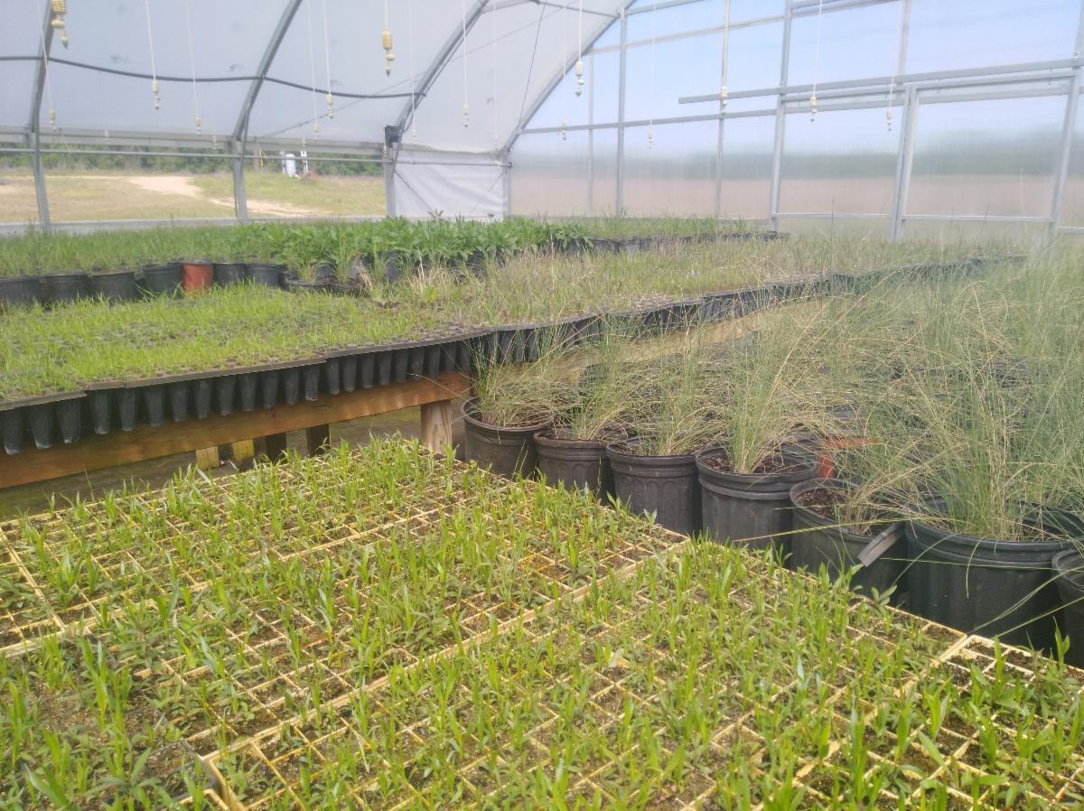 The Latest News For You!