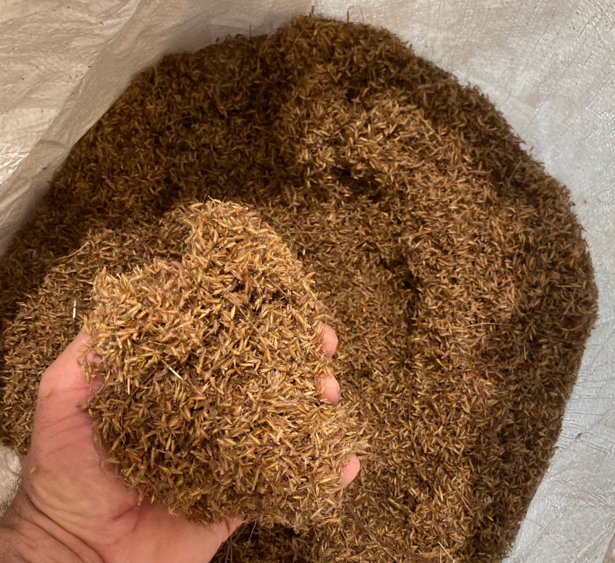 The Latest News For You!