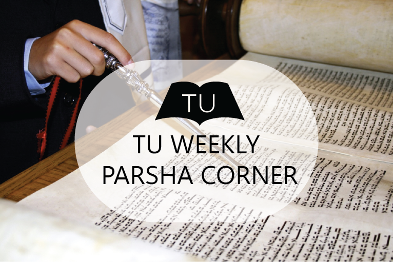 Recap - The Largest Chinuch Convention | Photos & Videos