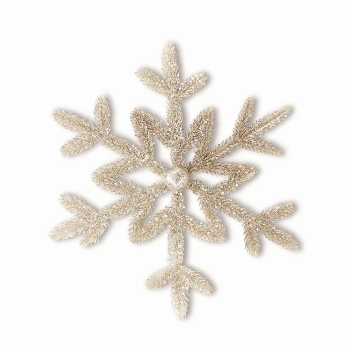 Winter Life Groups 2022