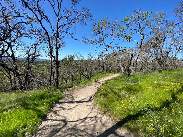 Summer Season Returns / Foothill's New Trail / River Access