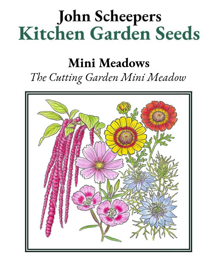 Our Mini Meadows Are Wild and Wonderful!