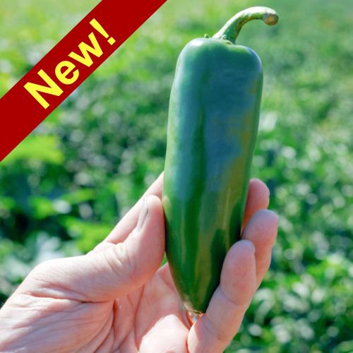 New VEGGIES for 2023!