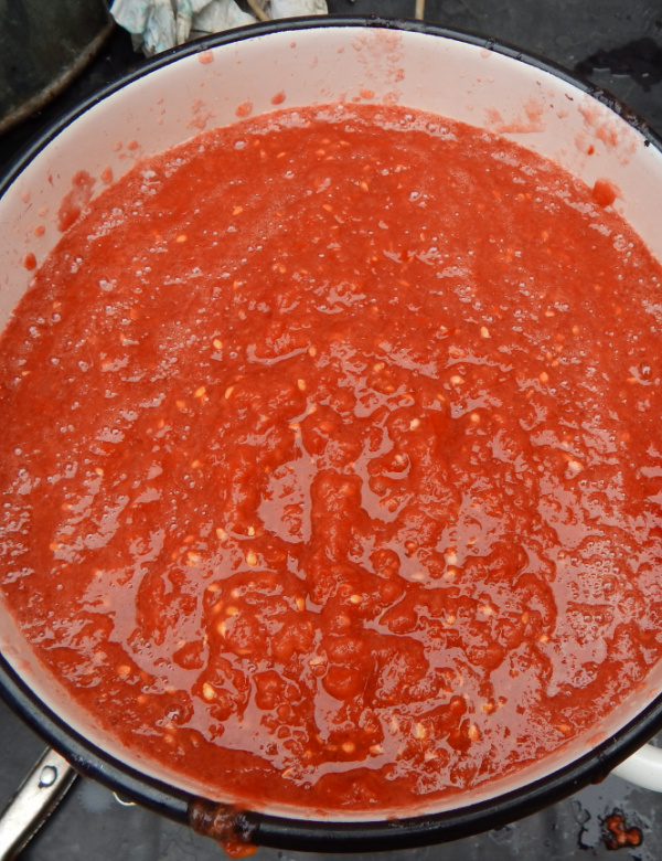 The First Step in Choosing a Tomato for Sauce Is...