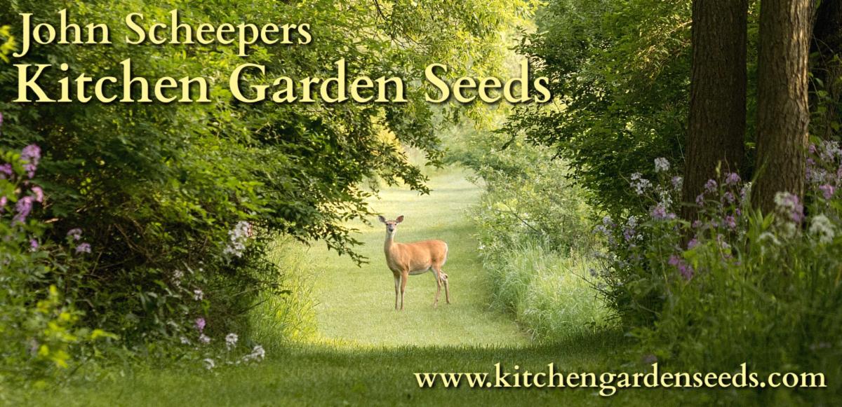 Is Your Garden a Buffet for Deer?