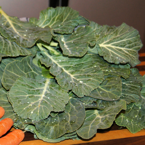 Plan Your Earliest Spring Crops Now