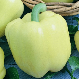 Veggies With a Twist