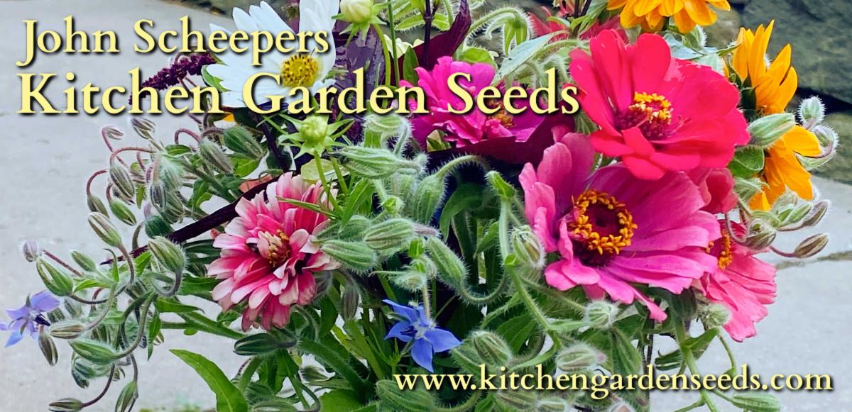 Sow a Summer Cutting Garden!