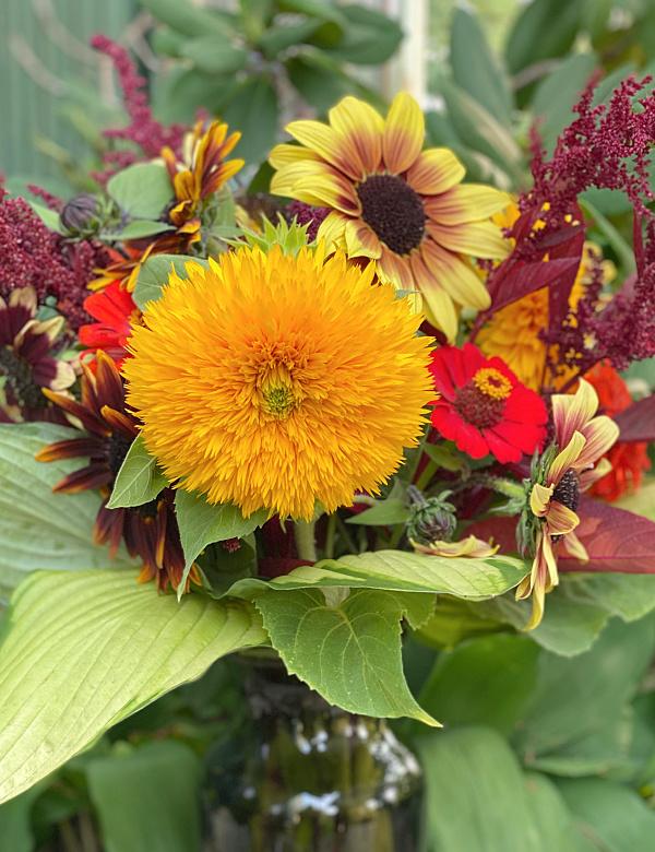 Saturday Spotlight: Over-The-Top Double Sunflowers